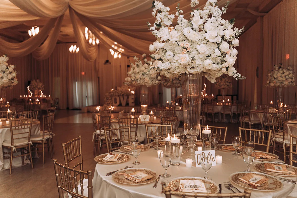 Top Wedding Reception Venues to Match Your Vision – Avana Venue